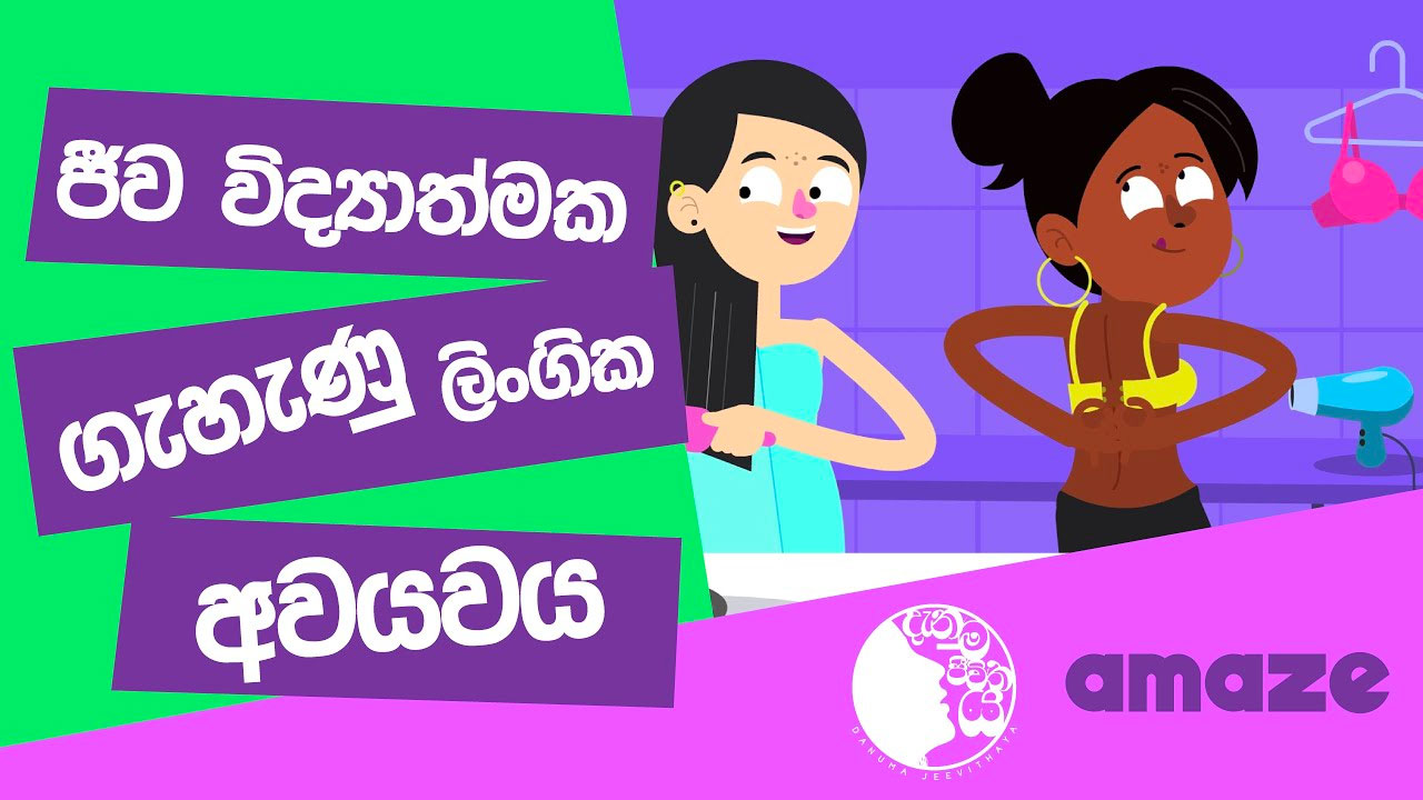 ජීව විද්යාත්මක ගැහැණු ලිංගික අවයවය Amaze